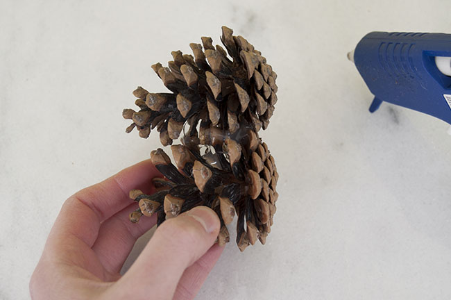 Pine Cone Bunny - The Best Ideas for Kids