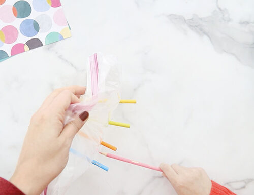 Pencil in Water Bag Experiment - The Best Ideas for Kids