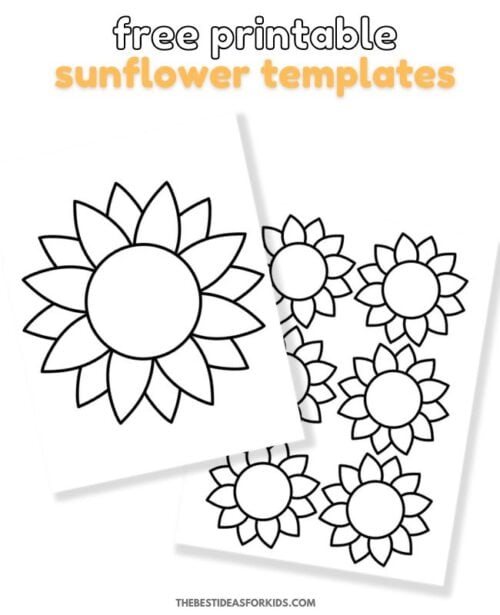 Sunflower Template - The Best Ideas for Kids