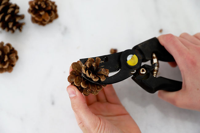 Pine Cone Flowers - The Best Ideas for Kids