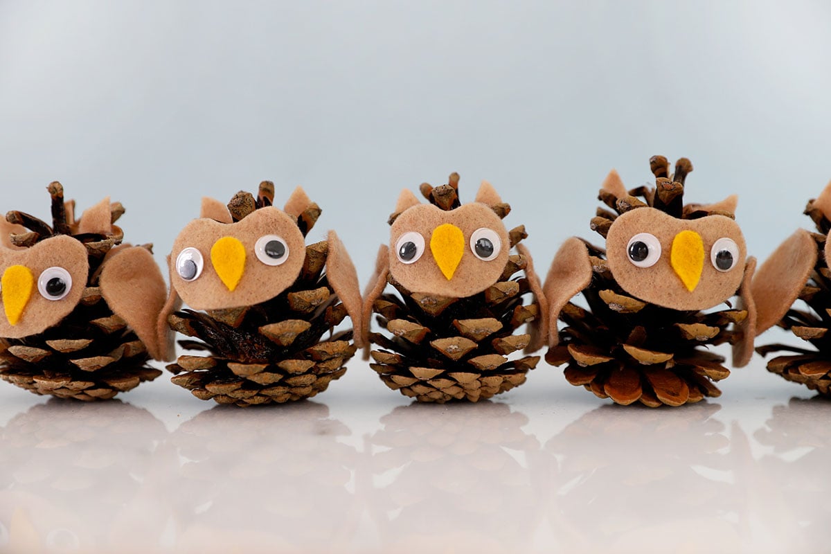 Pine Cone Owl The Best Ideas for Kids