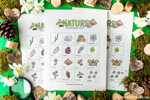 Nature Scavenger Hunt (Free Printable) - The Best Ideas for Kids