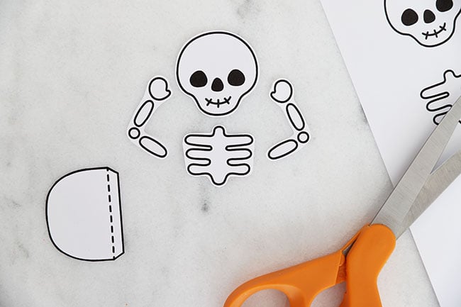 Toilet Paper Roll Skeleton - The Best Ideas for Kids