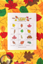 Leaf Scavenger Hunt (Free Printable) - The Best Ideas for Kids