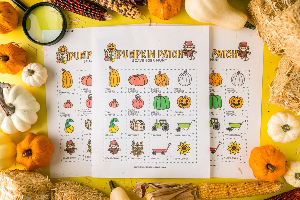 Pumpkin Patch Scavenger Hunt (Free Printable) - The Best Ideas for Kids