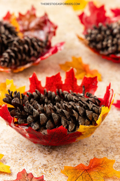DIY Leaf Bowl - The Best Ideas for Kids