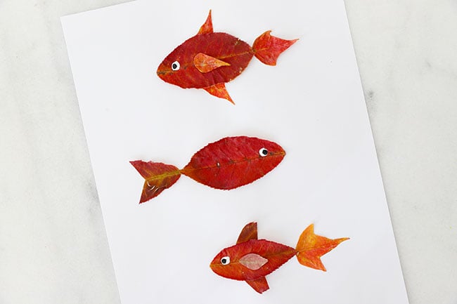 Fish Craft Ideas - The Best Ideas for Kids